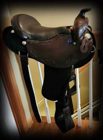 deals- About The Horse